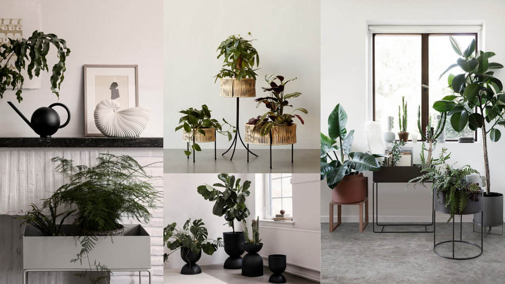 Our Favorite Modern Plant Pots + Ferm Living’s Plant Box Collection