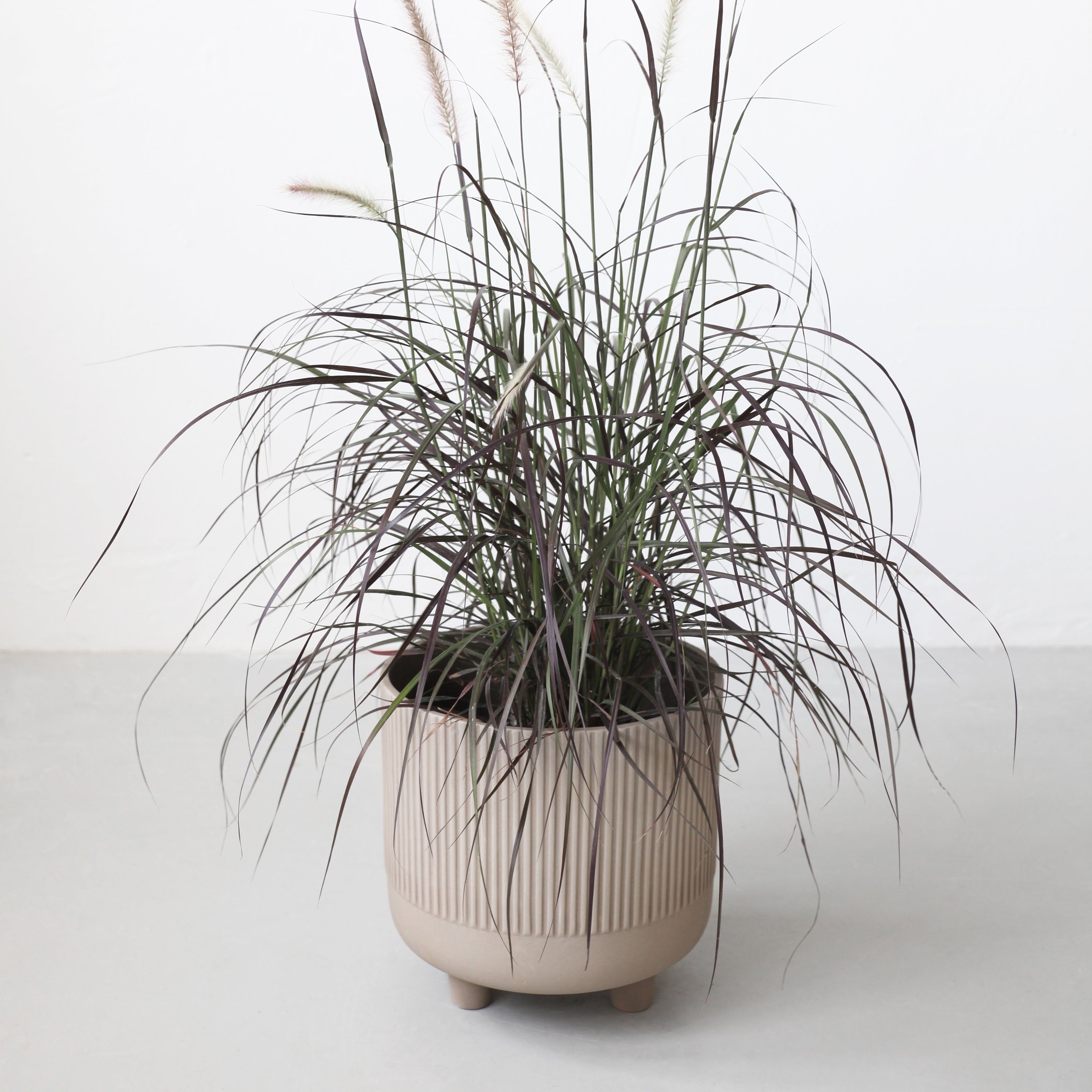 Kristina Dam Bowl XL | 3 Legged Bowl - Batten Home